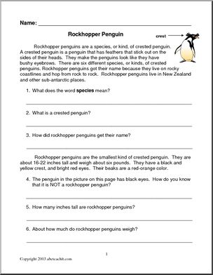 Comprehension: Rockhopper Penguin (elementary) – Abcteach
