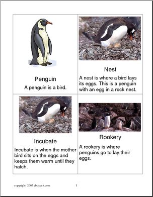 Handwriting Practice: Penguin Alphabet (ZB-style font) – Abcteach