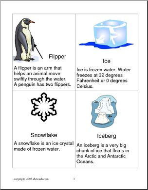 Vocabulary Cards: Penguin 2 – Abcteach