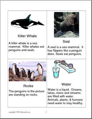 Vocabulary Cards: Penguin – Abcteach