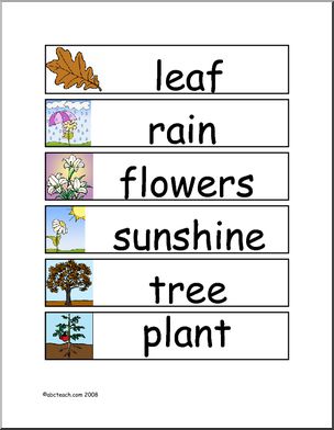 Word Wall: Plants – Abcteach