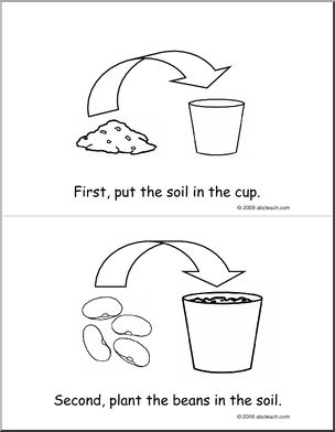 Booklet: How to Grow a Bean Plant (primary/elem) – Abcteach