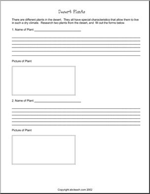 Report Form: Desert Plants – Abcteach