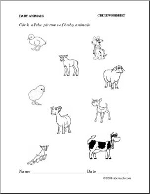Worksheet: Baby Animals – circle (preschool/primary) -b/w – Abcteach