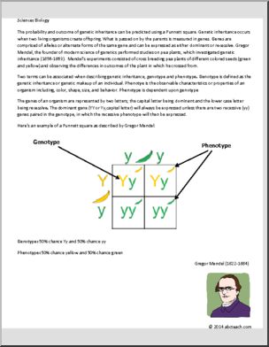 Science: Biology – Punnett Squares (H.S.) – Abcteach