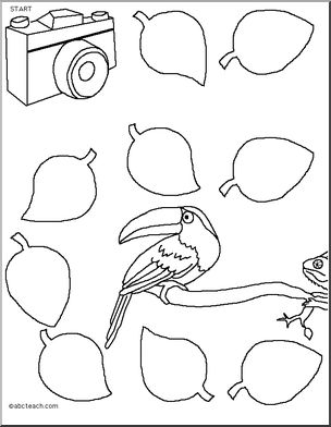 Draw and Write: Rain Forest – Abcteach