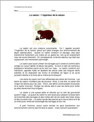 French: ComprÃˆhÃˆnsion de lecture–La dÃˆforestation – Abcteach