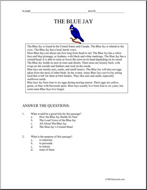 Comprehension: Blue Jays (elementary) – Abcteach