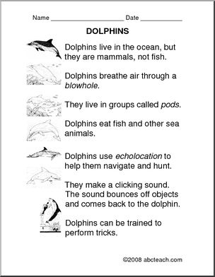 Dolphins – Abcteach