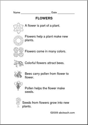 Comprehension: Plants – Flowers (primary) – Abcteach