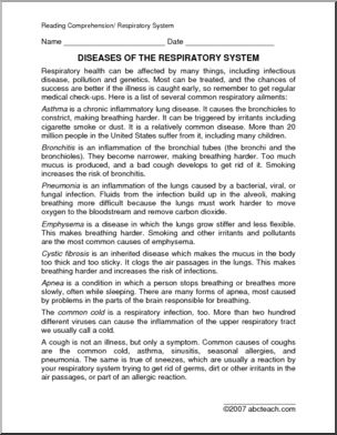 Comprehension: Koalas (elementary) – Abcteach