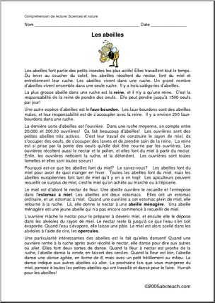 French: ComprÃˆhension de lecture–Les Ressources naturelles–le vent ...
