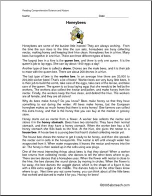 Comprehension: Honeybees (elementary) – Abcteach