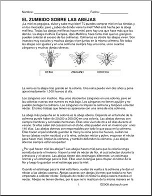 Spanish: ComprensiÃ›n de lectura – Abejas (elementaria) – Abcteach