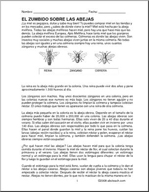 Spanish: ComprensiÃ›n de lectura – Abejas (secundaria) – Abcteach