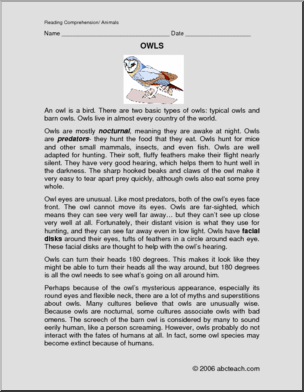 Comprehension: Owls (upper elem/middle) – Abcteach