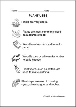Comprehension: Plants – Uses (primary) – Abcteach