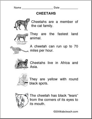 Comprehension: Cheetah (primary) – Abcteach