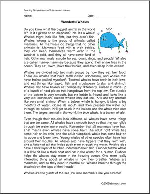 Comprehension: Whales (elementary) – Abcteach