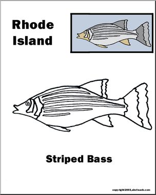 Rhode Island: State Animal – Striped Bass – Abcteach