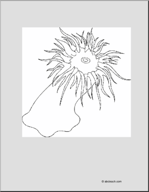 Coloring Page: Sea Cucumber – Abcteach
