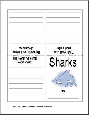 KWL: Sharks (booklet, color) – Abcteach