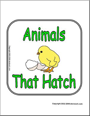 Theme Sign: Animals That Hatch – Abcteach