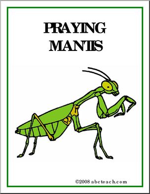 Poster: Insects – Praying Mantis – Abcteach
