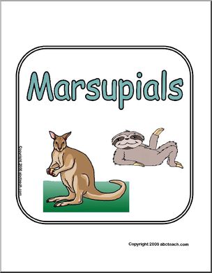 Sign: Animals – Marsupials – Abcteach