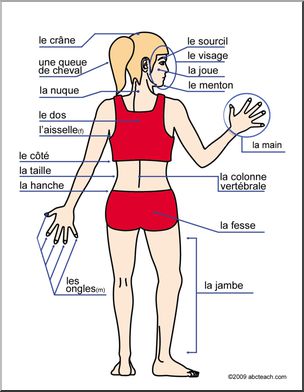 Body Parts – Abcteach