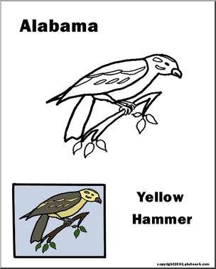 State Birds – Page 5 – Abcteach
