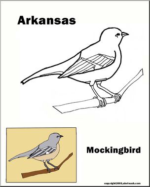 Arkansas: State Bird – Mockingbird – Abcteach