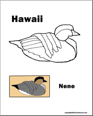 Hawaii: State Bird – Nene – Abcteach