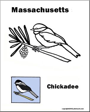 Massachusetts: State Bird – Chickadee – Abcteach