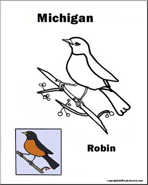 Michigan: State Bird – Robin – Abcteach
