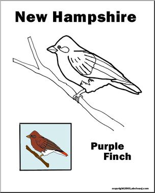 New Hampshire: State Bird – Purple Finch – Abcteach