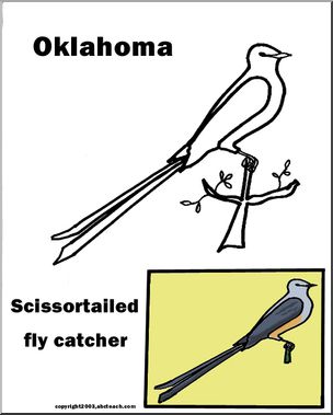 Wisconsin: State Bird – Robin – Abcteach