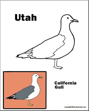 State Birds – Abcteach