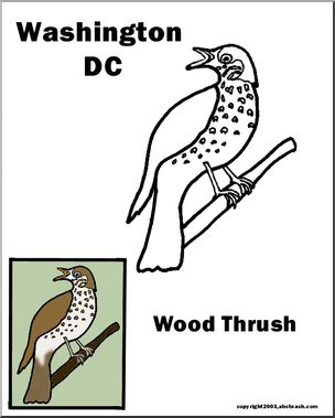 District of Columbia: State Bird – Wood Thrush – Abcteach