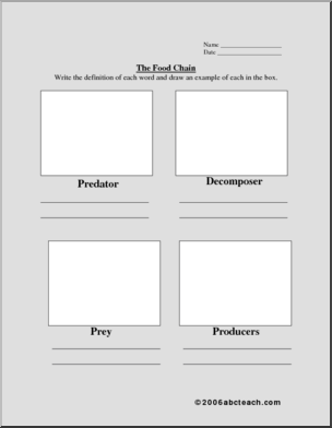 Graphic Organizer: Science – Food Chain – Abcteach