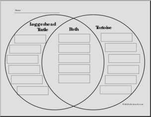 Flashcards: Reptiles and Amphibian – Abcteach