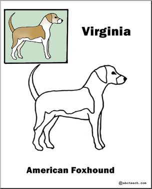 Virginia: State Animal – American Foxhound – Abcteach