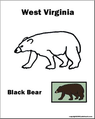 West Virginia: State Animal – Black Bear – Abcteach