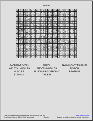 Word Search: Muscle System – Abcteach
