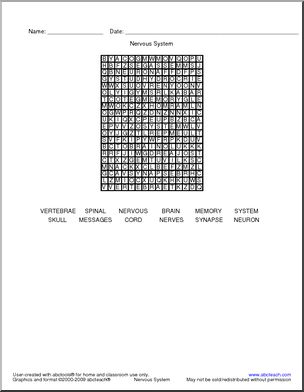 Word Search: Nervous System – Abcteach