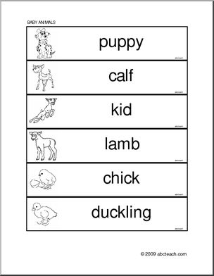Word Wall: Baby Animals (pictures) – Abcteach